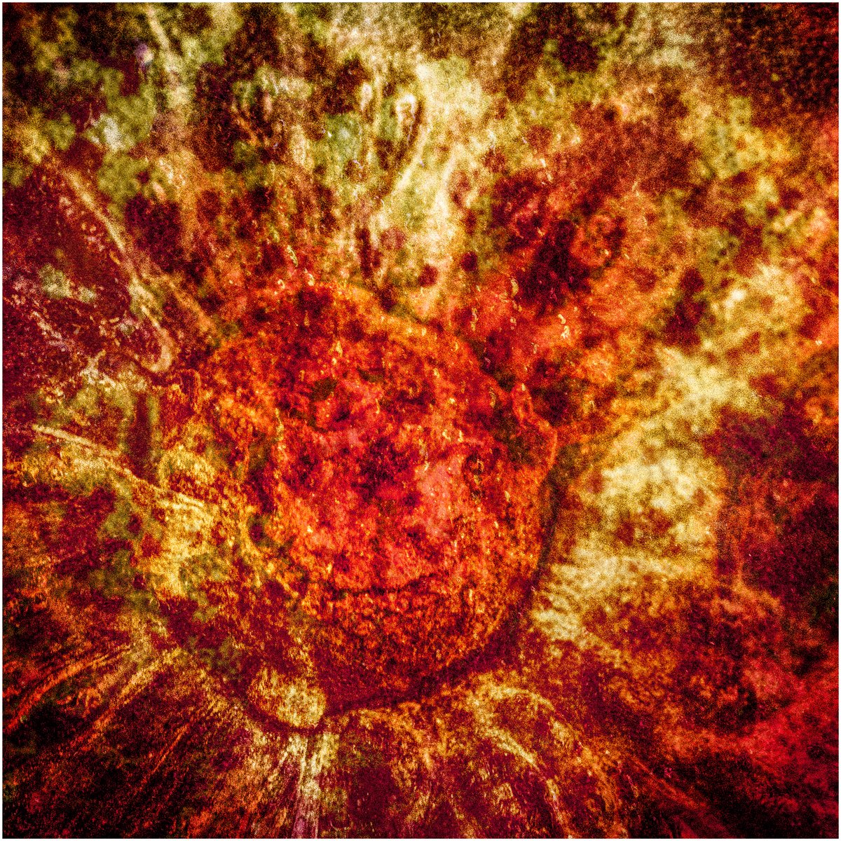 South Manchester Camera Club